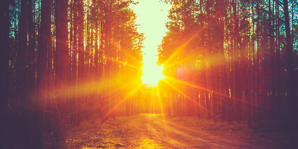 Whitewell Metropolitan Tabernacle | Whitewell - a Belfast Church ...